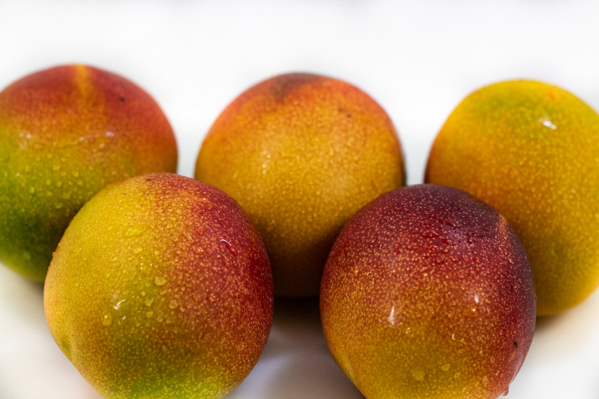 MANGO JADE LIBRA | Super del Corral